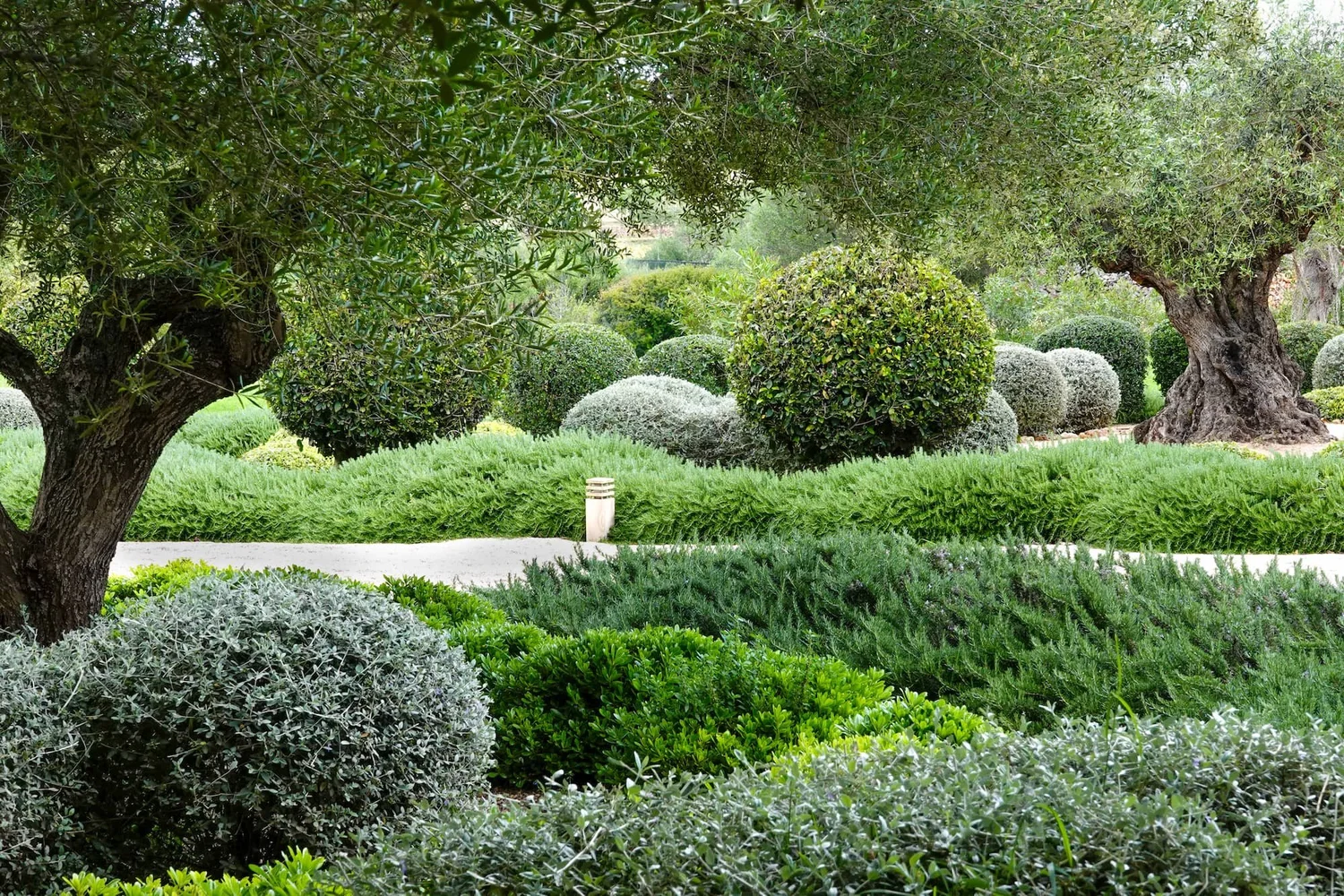 Topiary Cloud Gardens | Modern Mediterranean Garden Design Mallorca ...
