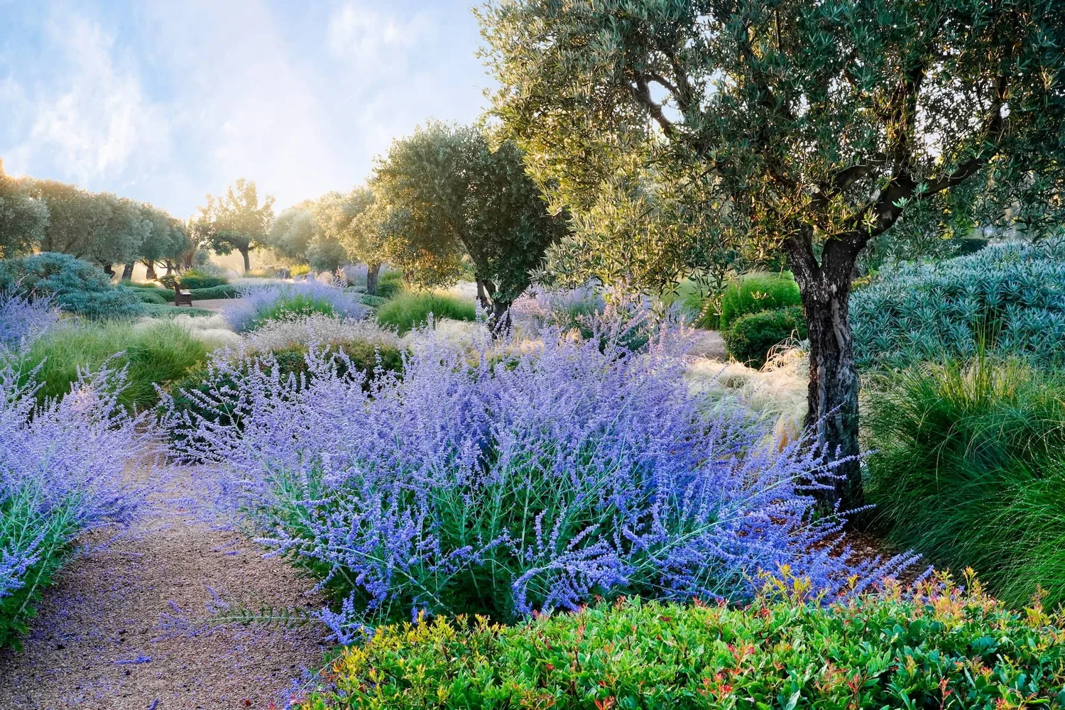 Mashamba Design — Mediterranean Garden and Terrace Design in Mallorca