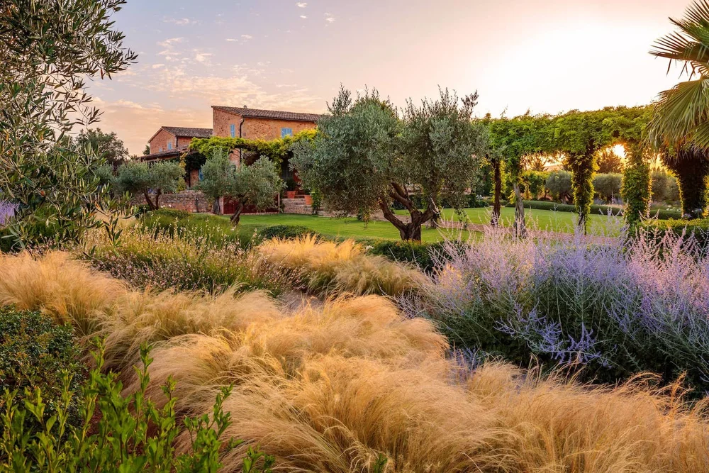 Mashamba Design — Mediterranean Garden and Terrace Design in Mallorca
