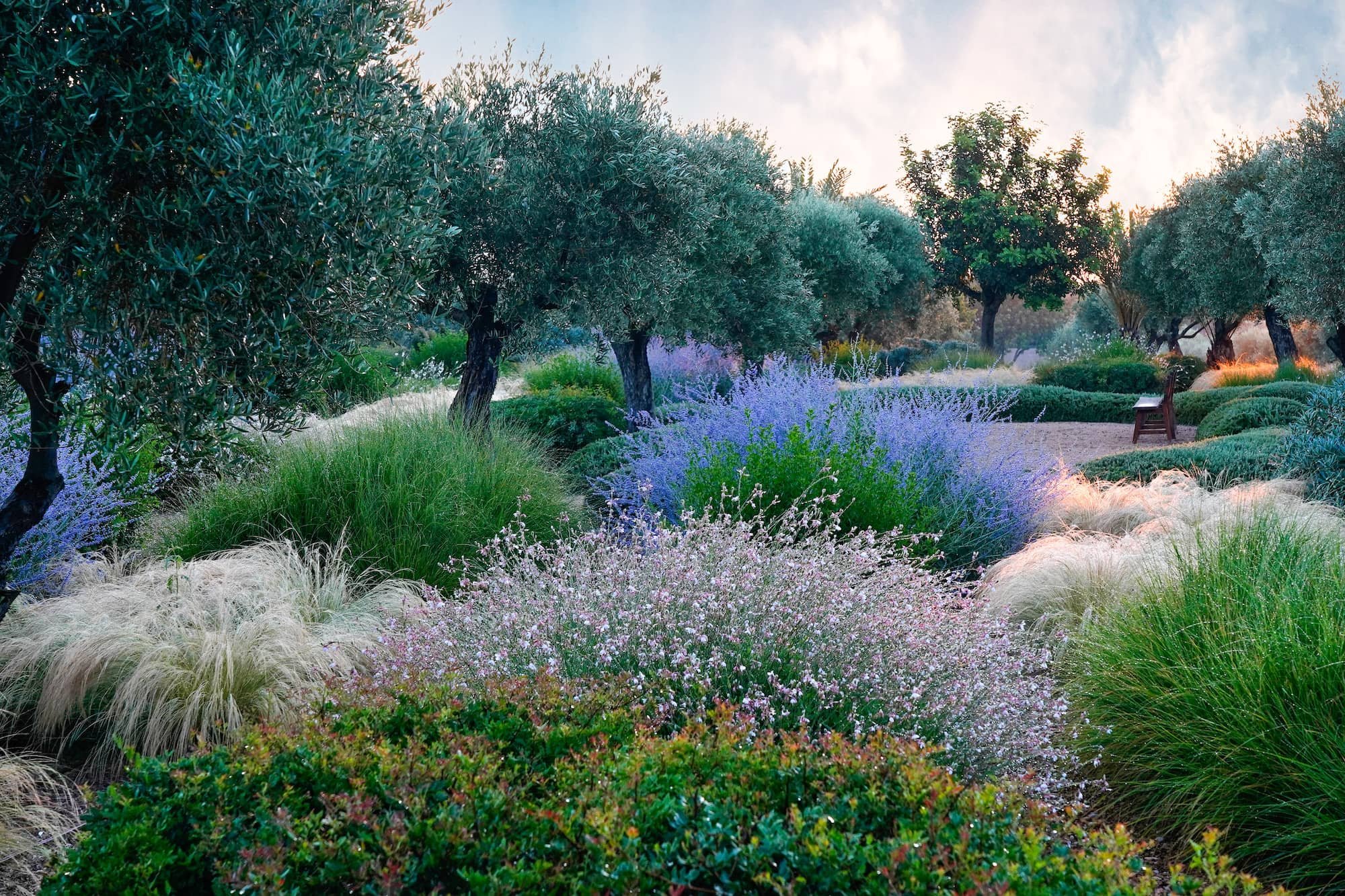 Wildly Romantic Garden Design in Mallorca — Mashamba Design