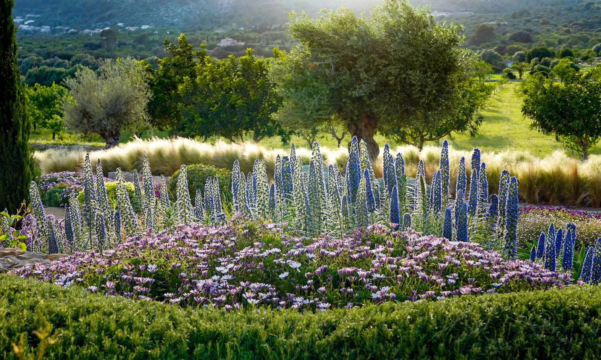 Dry Gardens Mallorca | Sustainable Mediterranean Gardens — Mashamba Design