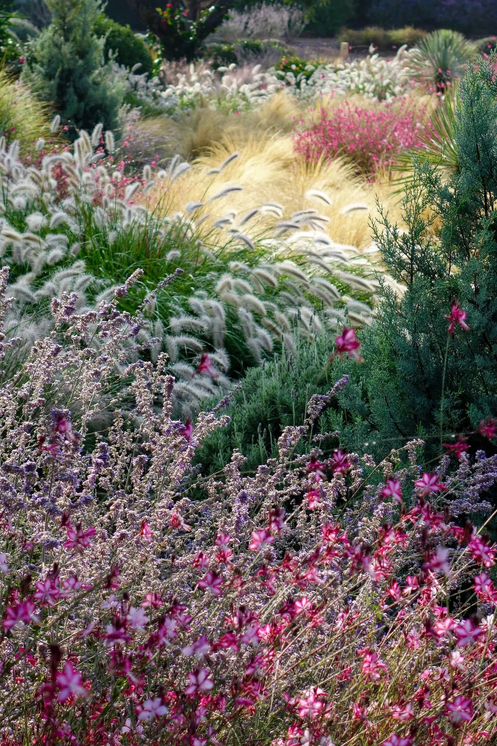 Dry Gardens in Mallorca - Sustainable Mediterranean Gardens — Mashamba ...