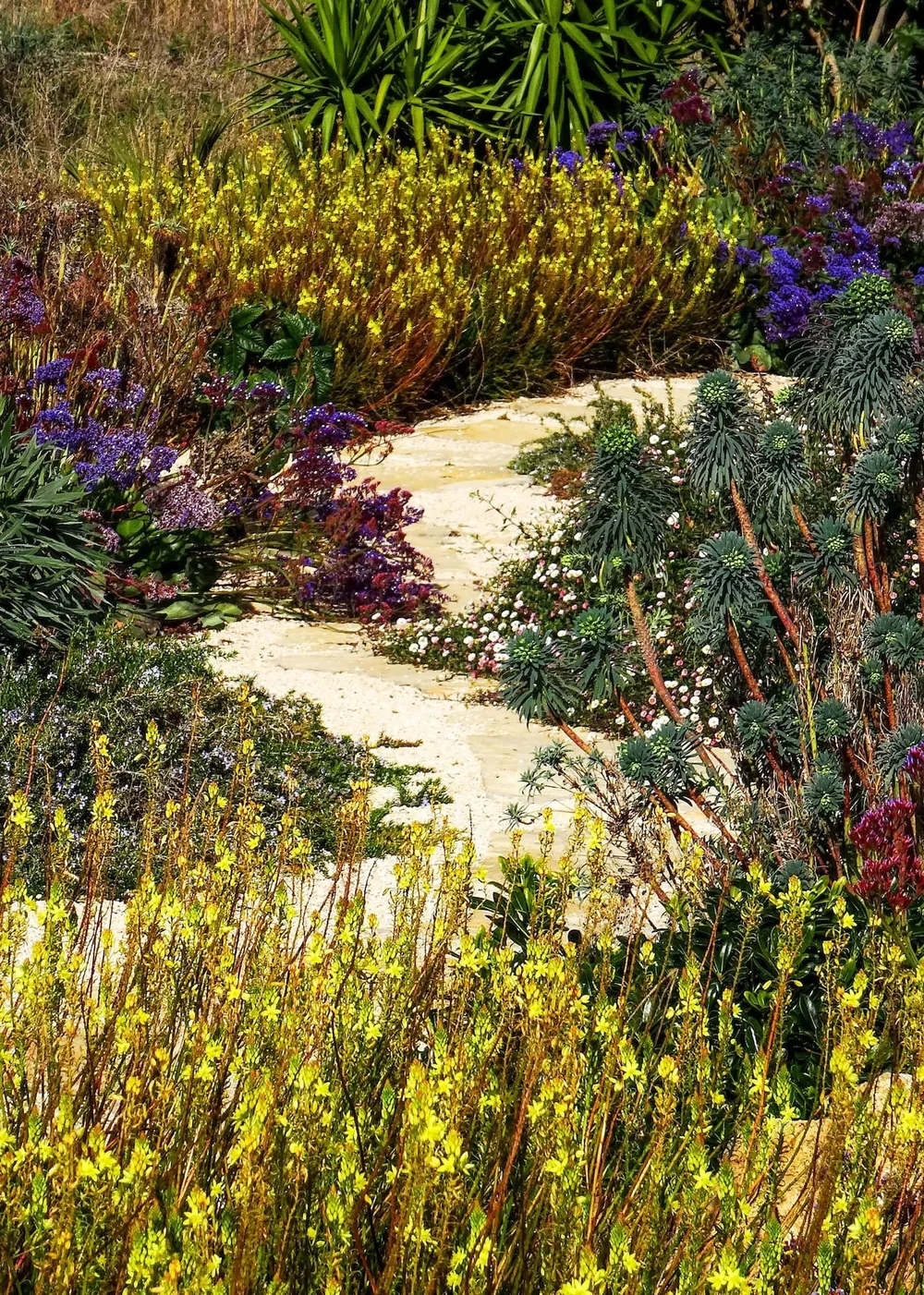 Dry Gardens in Mallorca - Sustainable Mediterranean Gardens — Mashamba ...