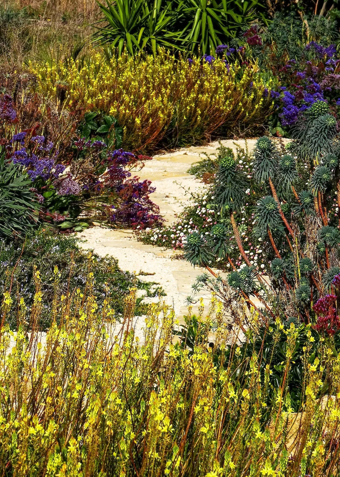 Dry Gardens in Mallorca - Sustainable Mediterranean Gardens — Mashamba ...