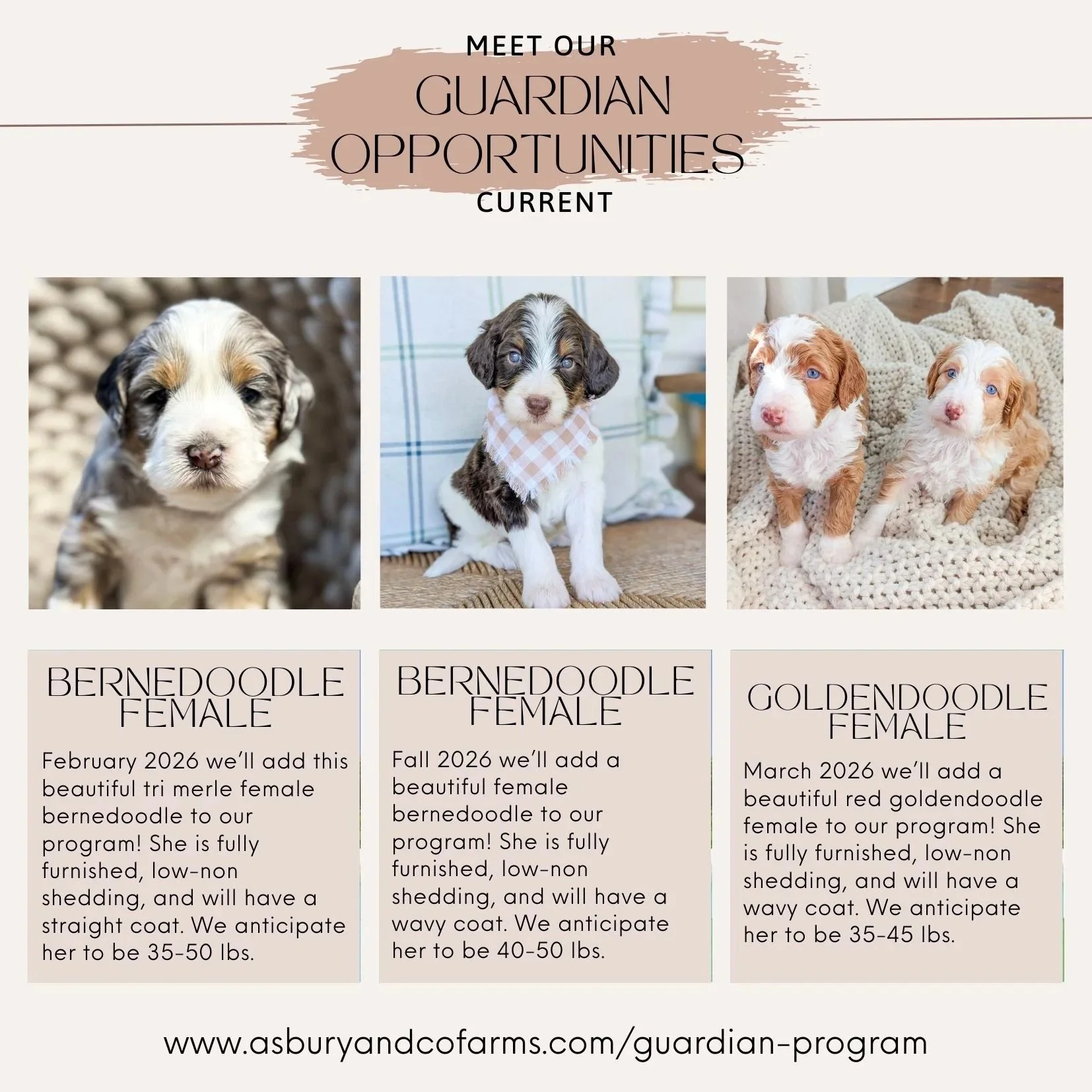 Guardian Program — Asbury & Co Farms