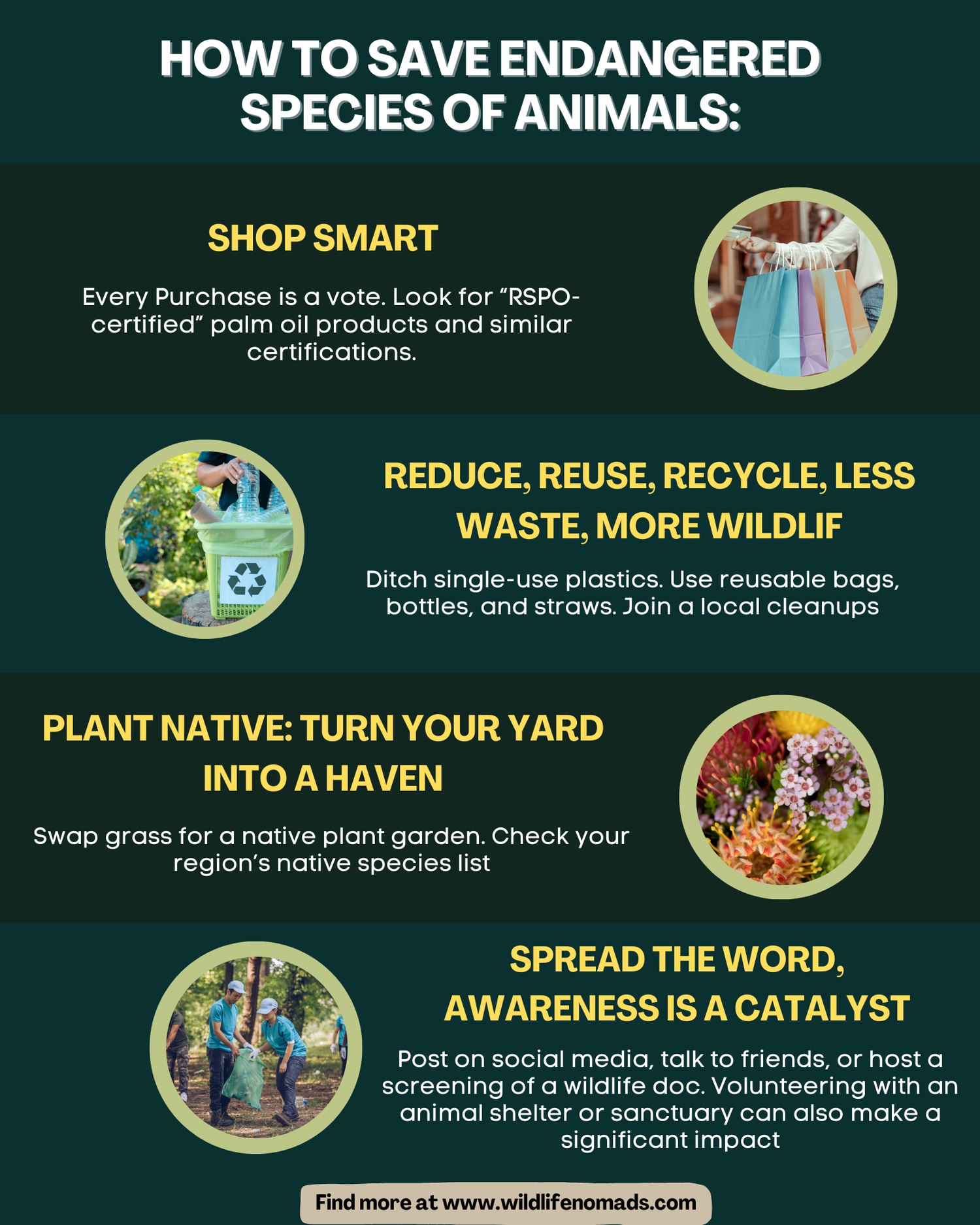 Save Endangered Species: Steps to Protect Wildlife — Wildlife Nomads