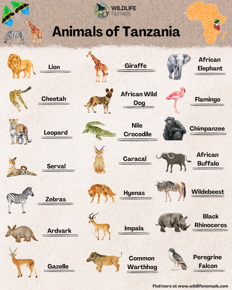 Wildlife Tanzania: Top 10 Iconic Animals to Discover — Wildlife Nomads