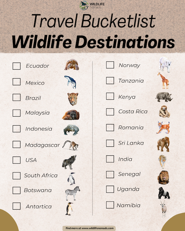 Best Wildlife Tours Worldwide: Explore & Book — Wildlife Nomads