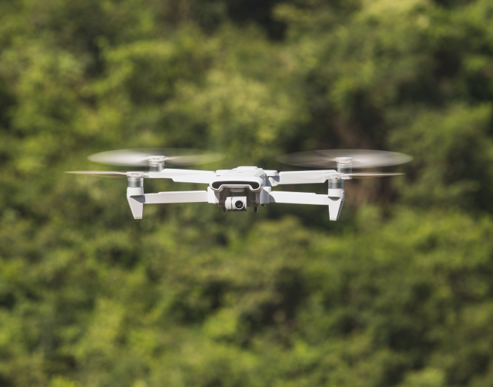 Drones Finding New Species in Remote Areas: Wildlife Revolution ...