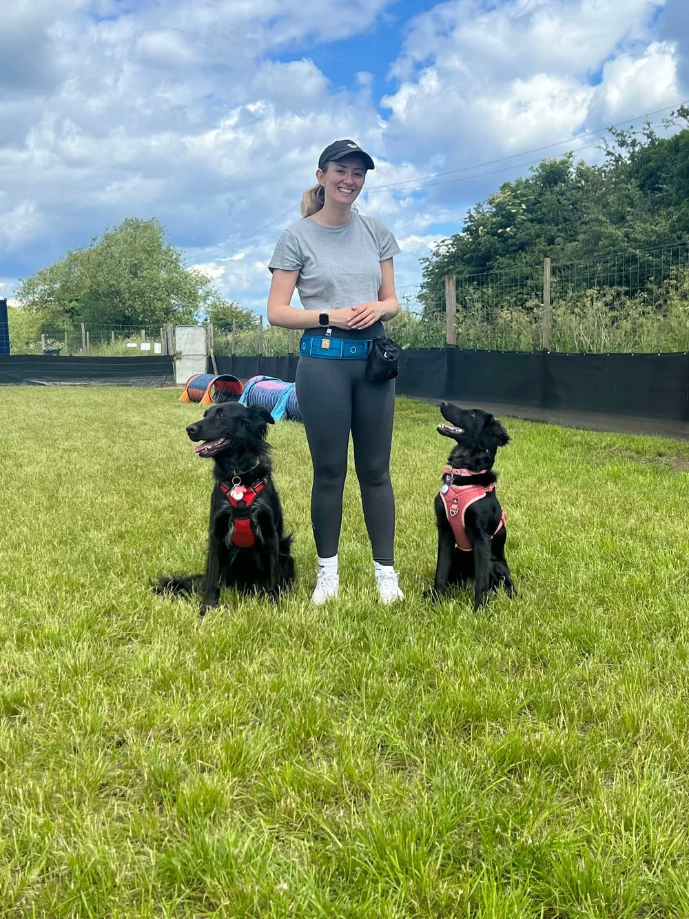 Professional Dog Behaviourist in Devon | The Dog Witch