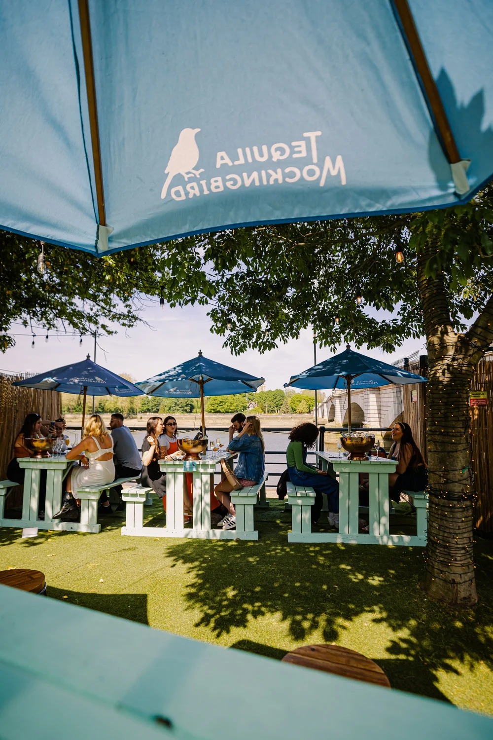 Putney | Join the Fun Today — TEQUILA MOCKINGBIRD