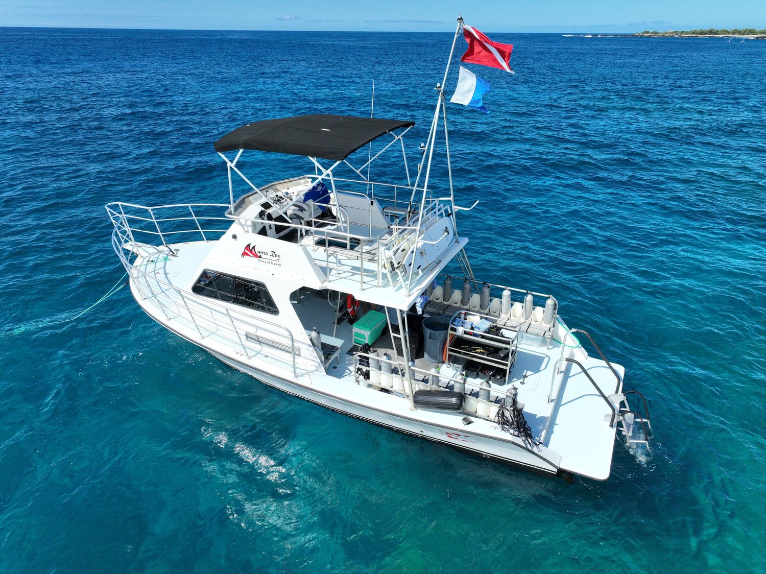 Manta Ray Dives of Hawaii | Discover EcoAdventures Today