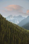 About — The Mountain Outpost