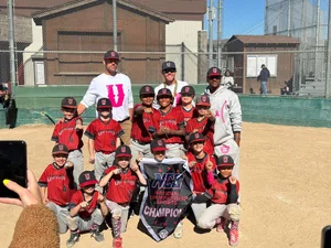 RINCON VIPERS BASEBALL CLUB