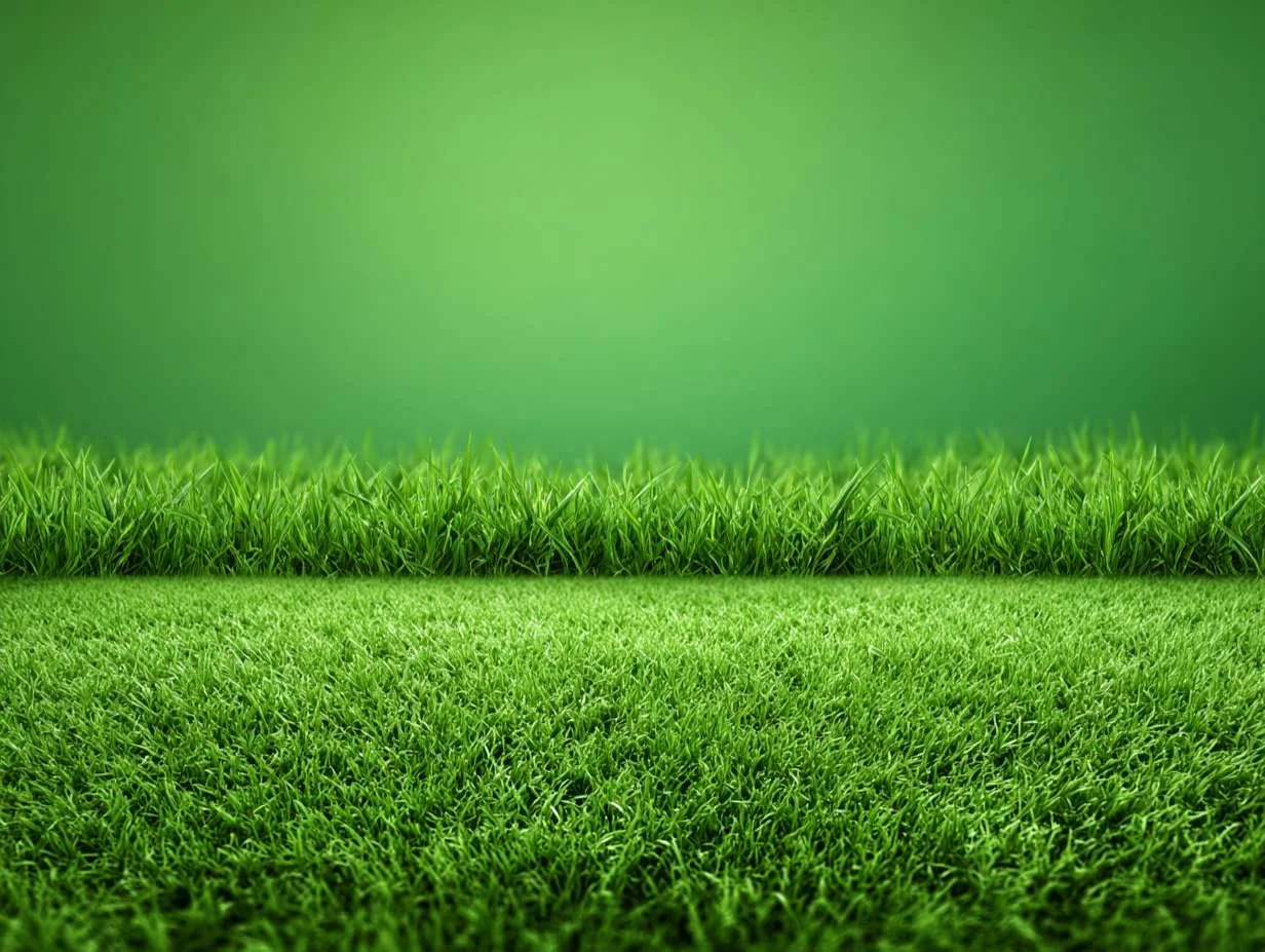 How to Get a Garden Waste Bin from the Council | Habitat Landscaping