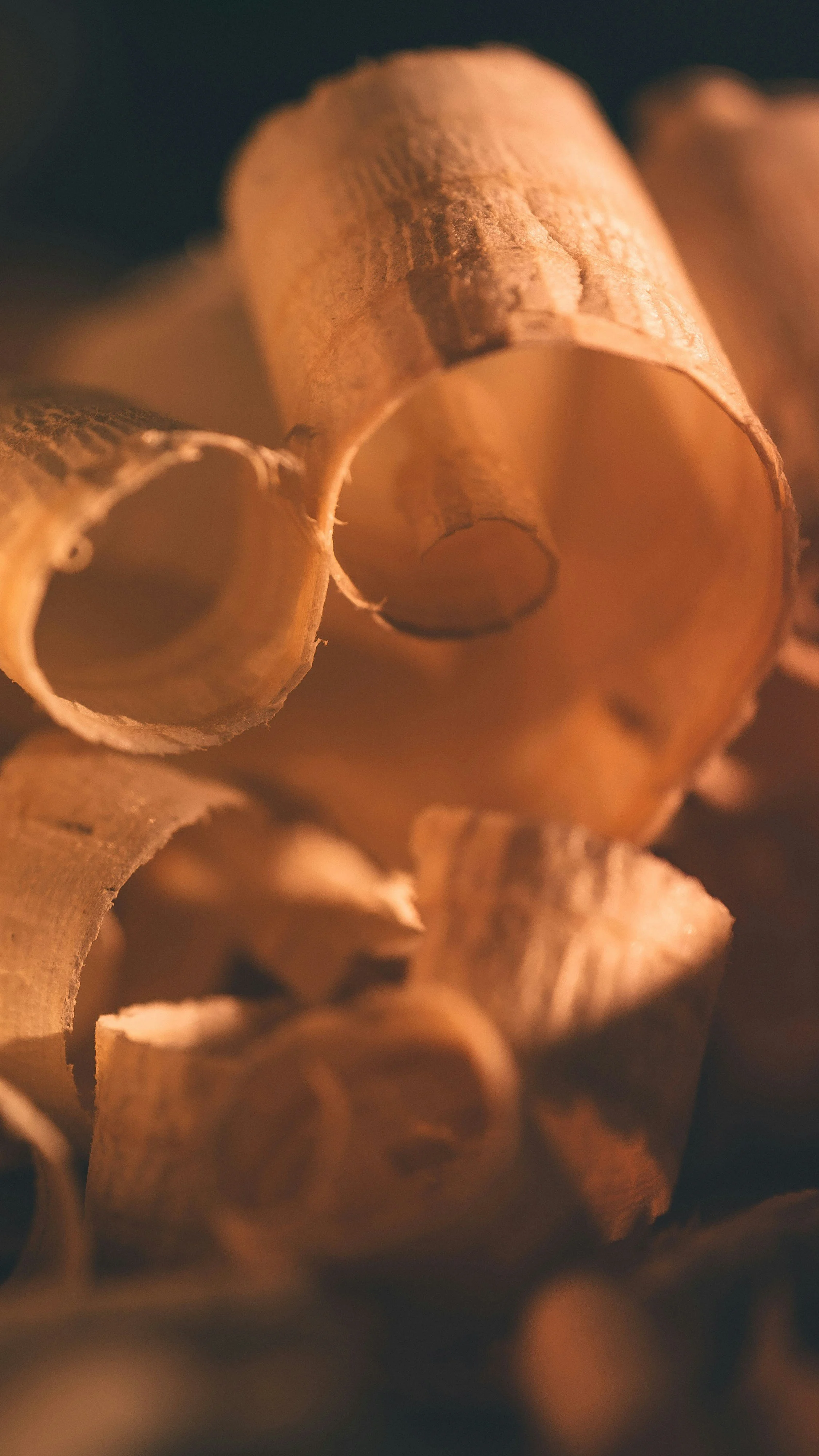 Is Wood a Sustainable Material? Explained