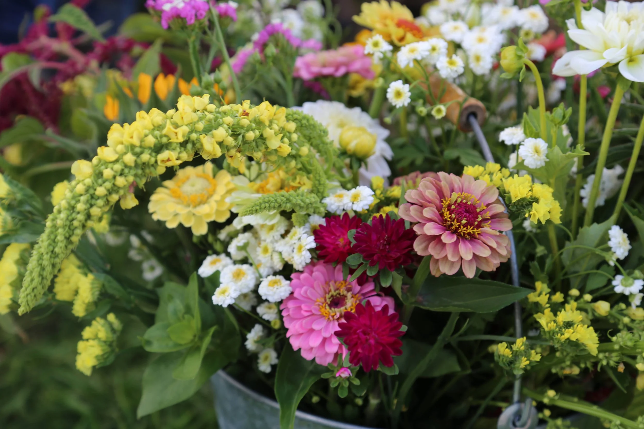 French Blooms | Discover & Create Beautiful Blooms – Join Us Today