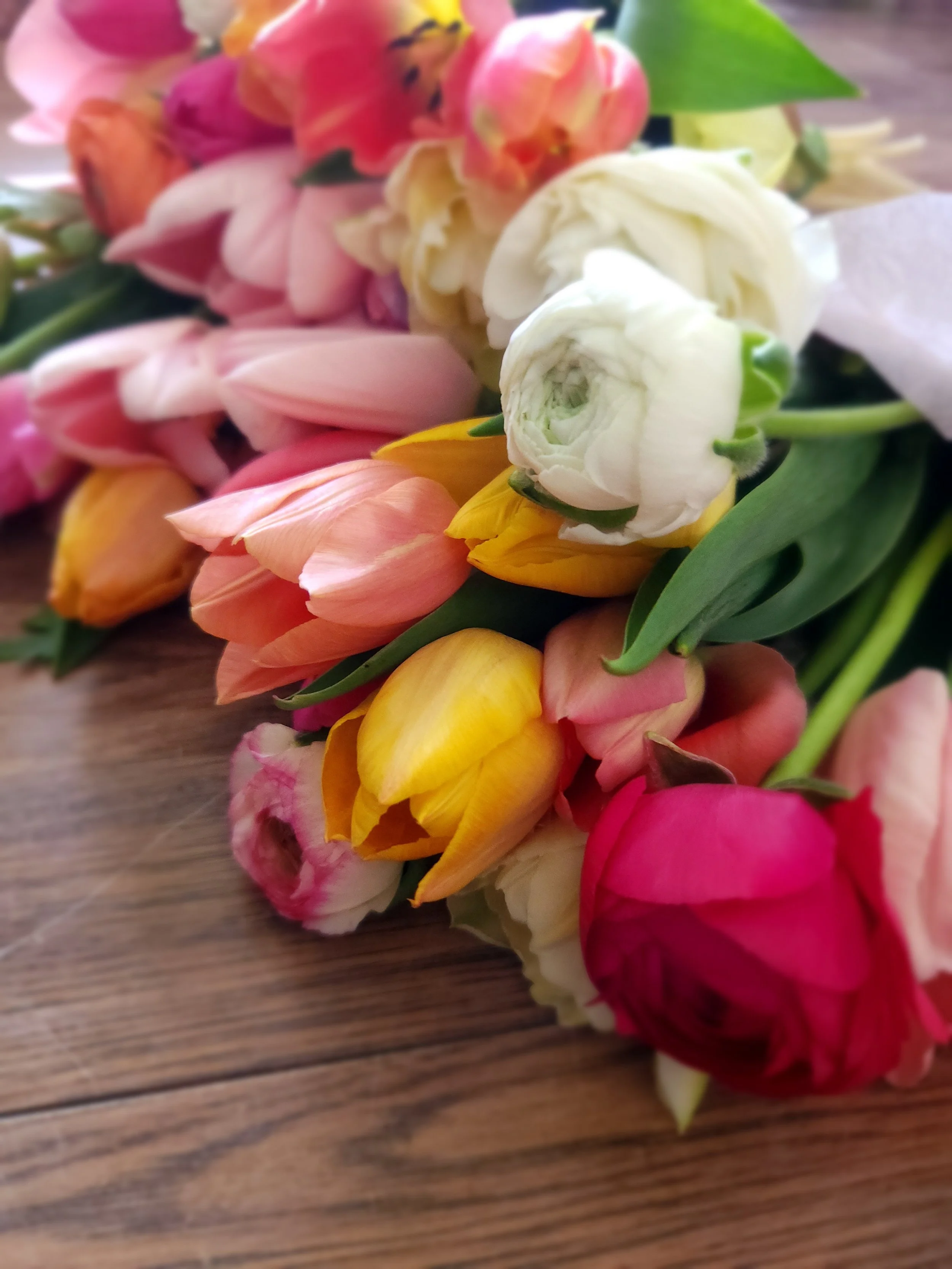French Blooms | Discover & Create Beautiful Blooms – Join Us Today