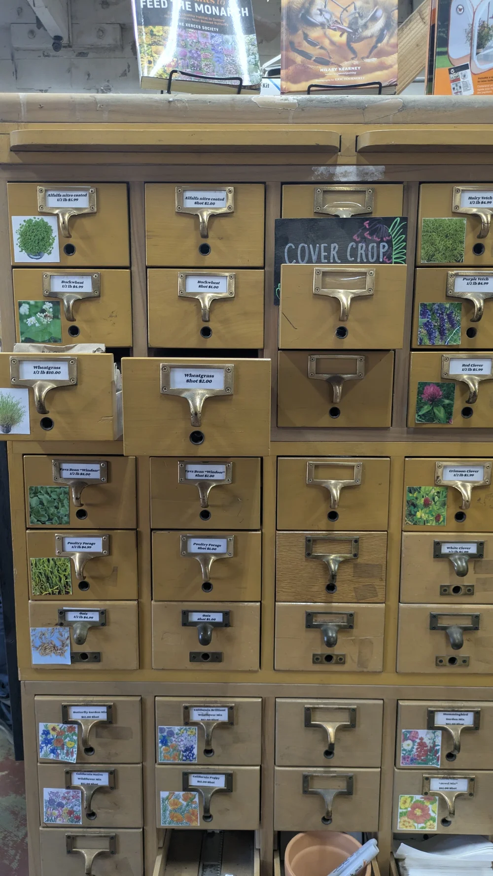 Seeds — City Farmers Nursery