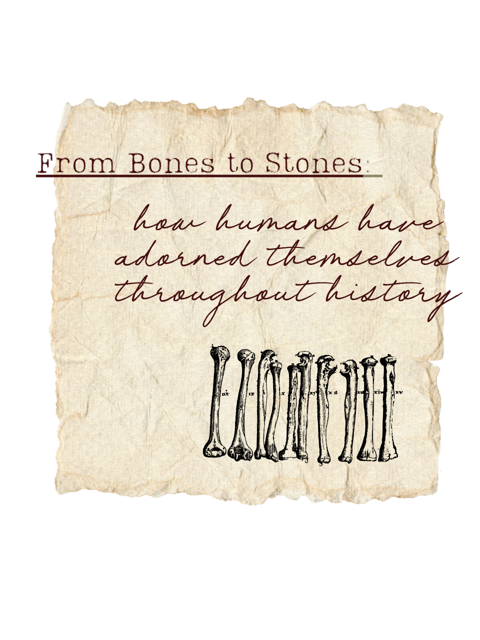 From Bones to Stones: How Humans Have Adorned Themselves Throughout ...