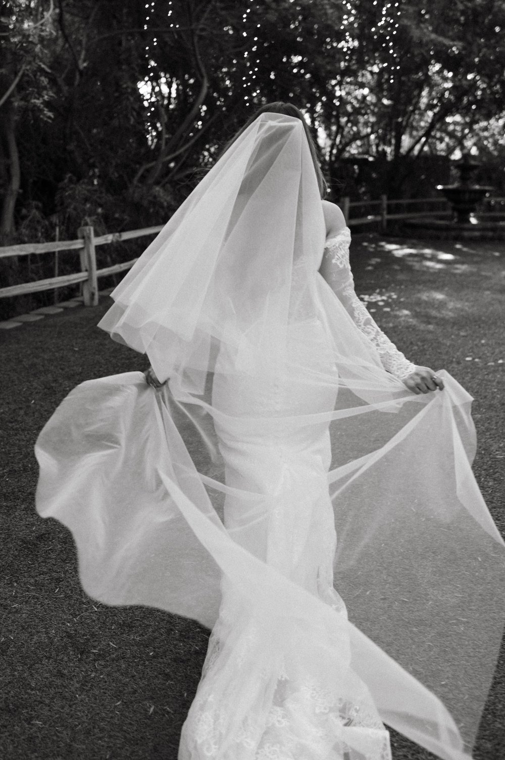 Jennifer Noelle Photography