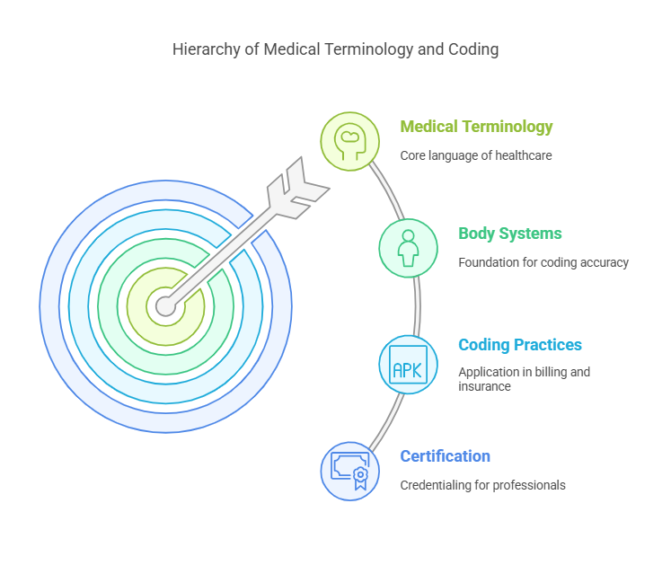 Anatomy and Physiology for Medical Billing and Coding — AMBCI
