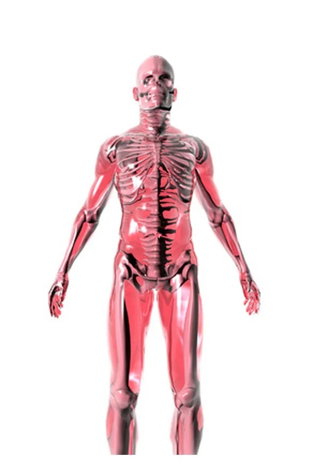 Anatomy and Physiology for Medical Billing and Coding — AMBCI