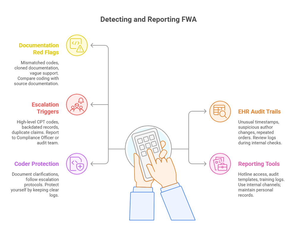 Guide to Fraud, Waste & Abuse (FWA) Terms for Coders — AMBCI