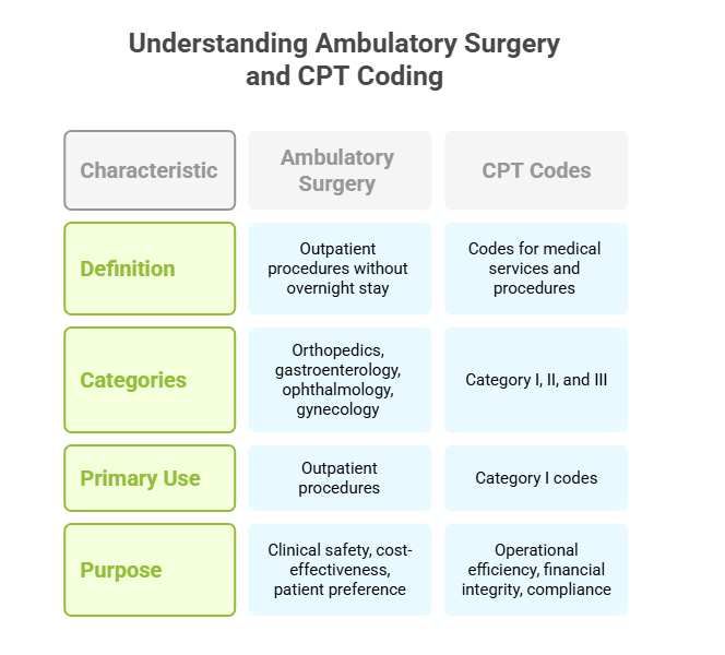 CPT Codes for Ambulatory Surgery: Guide & Examples — AMBCI