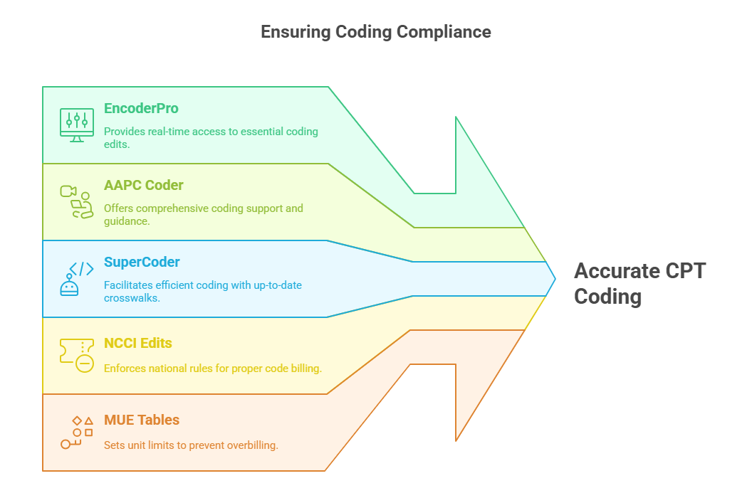 Comprehensive CPT Code Directory for Surgery Procedures — AMBCI