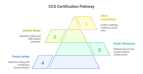 CCS Certification Exam Ultimate Study Guide — AMBCI