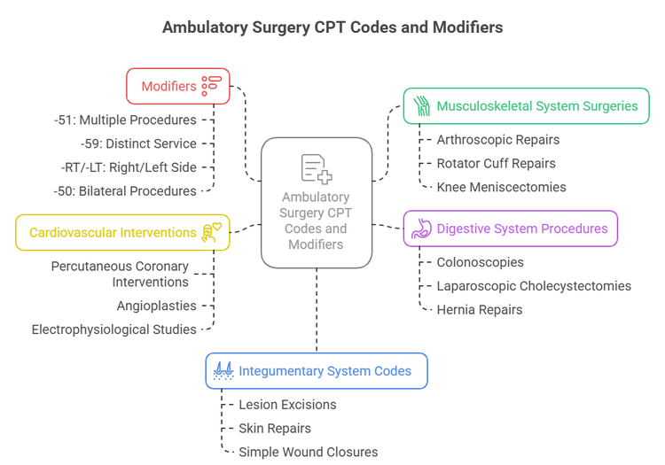CPT Codes for Ambulatory Surgery: Guide & Examples — AMBCI