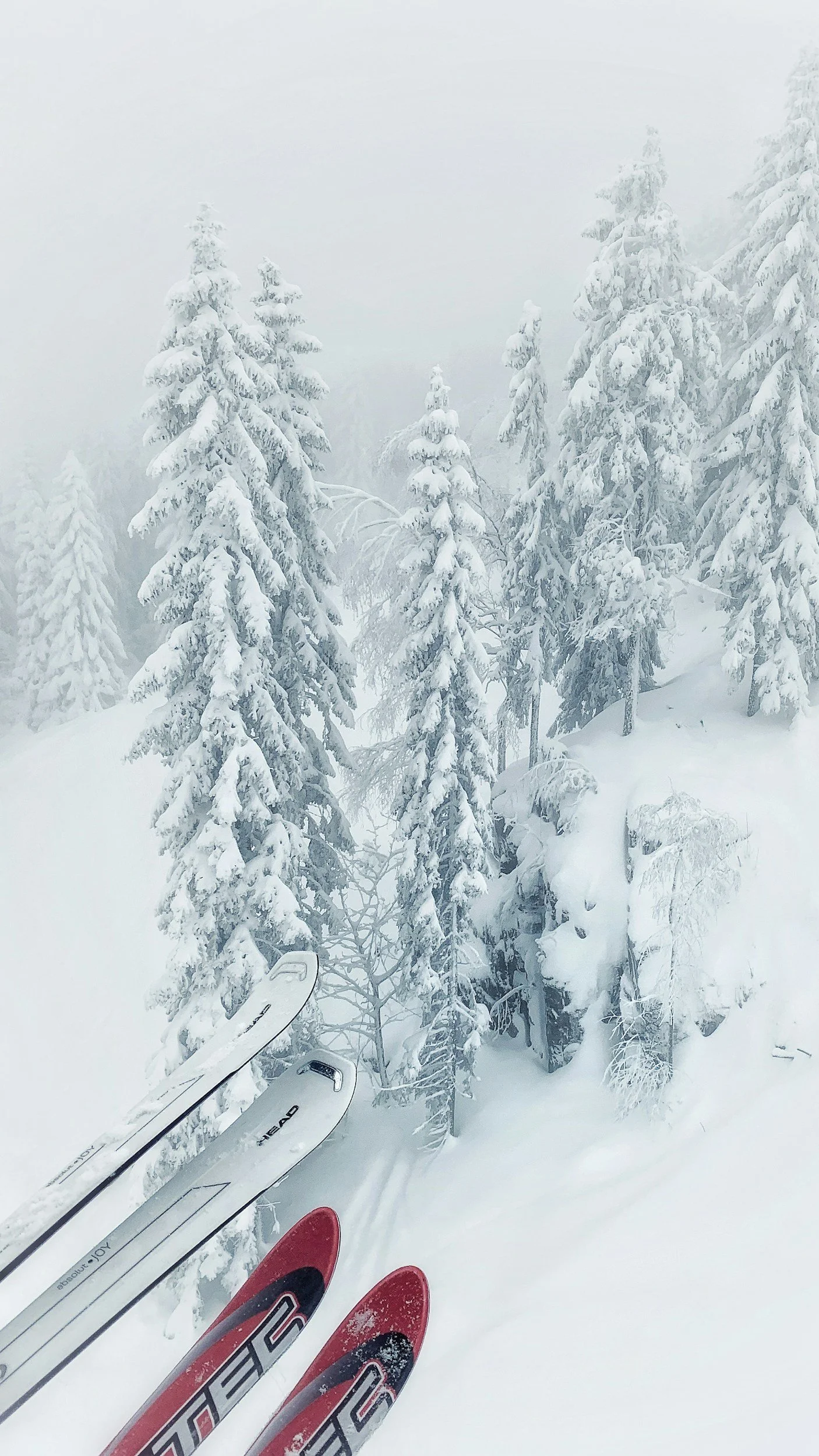 Work in Finland: Your Guide to Jobs, Visas, and Work Culture — Finnish ...