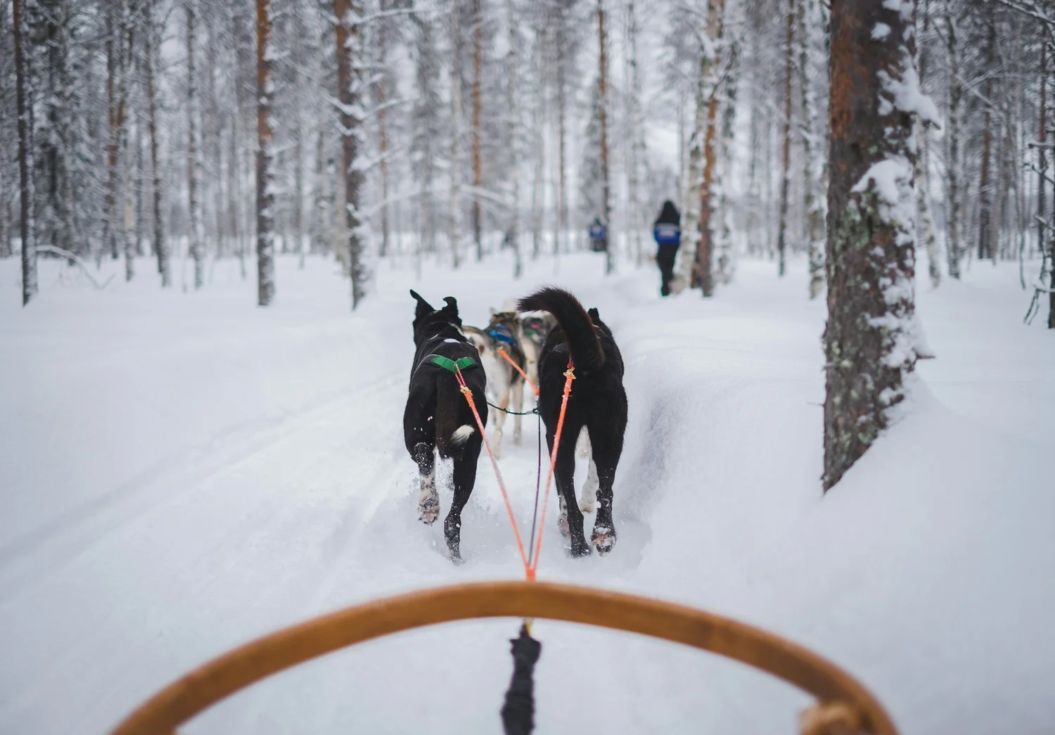 Work in Finland: Your Guide to Jobs, Visas, and Work Culture — Finnish ...