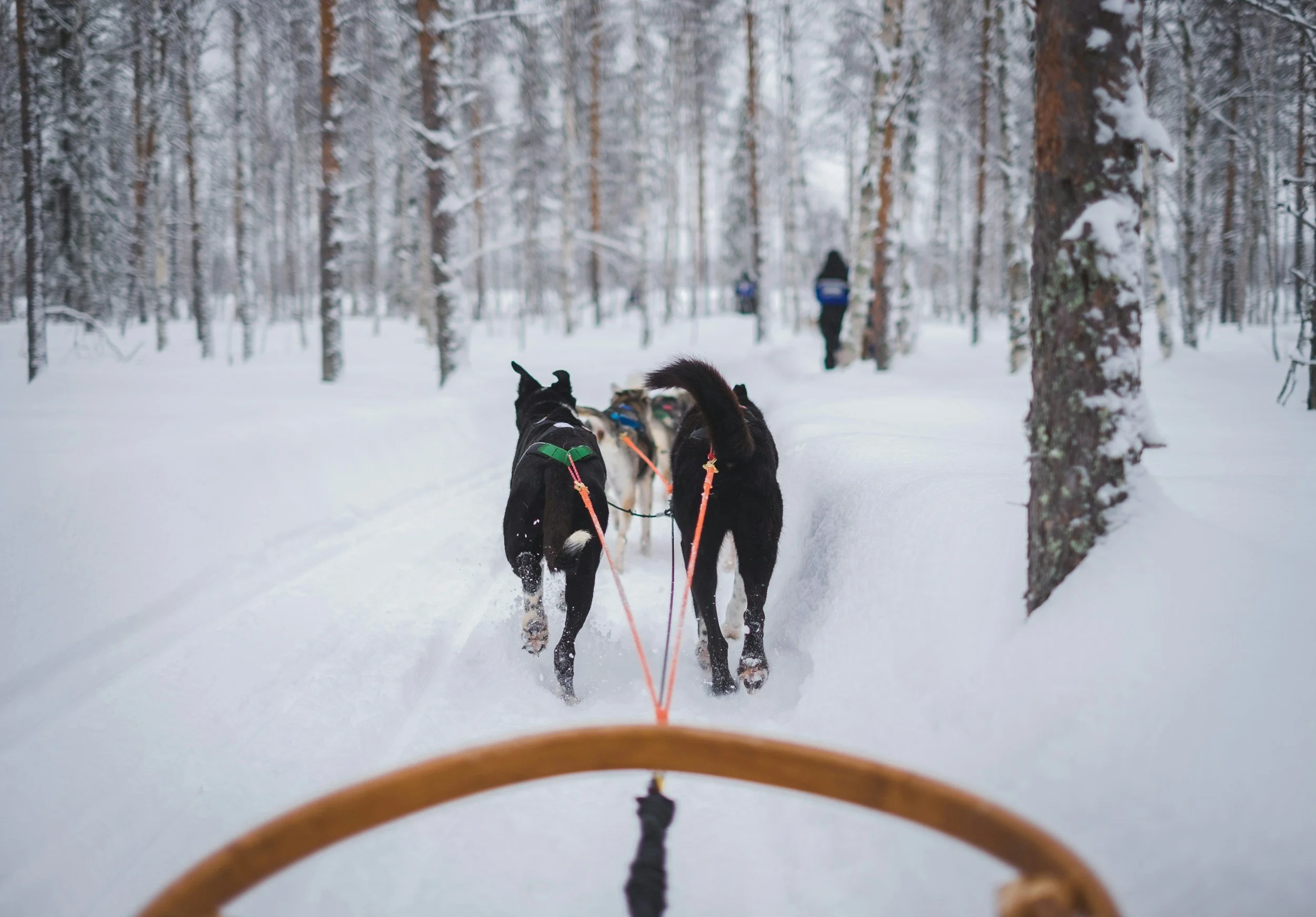 Work in Finland: Your Guide to Jobs, Visas, and Work Culture — Finnish ...