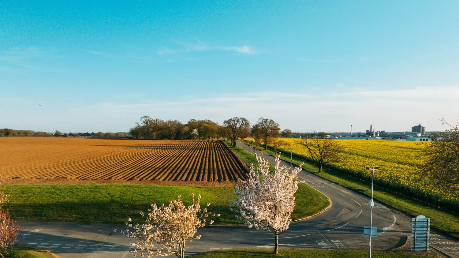 Hall Farm Fornham — Long Farms | Arable Farmers Suffolk