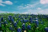 About Us — Compass Texas