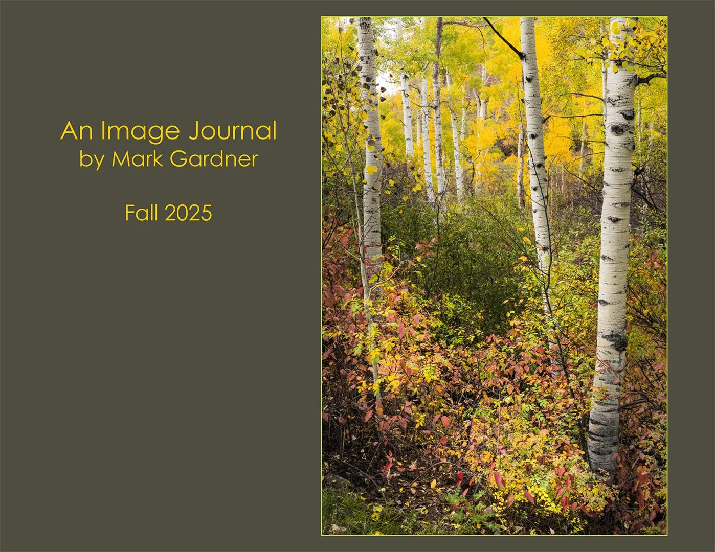Image Journal — Mark Gardner, Photographic Art