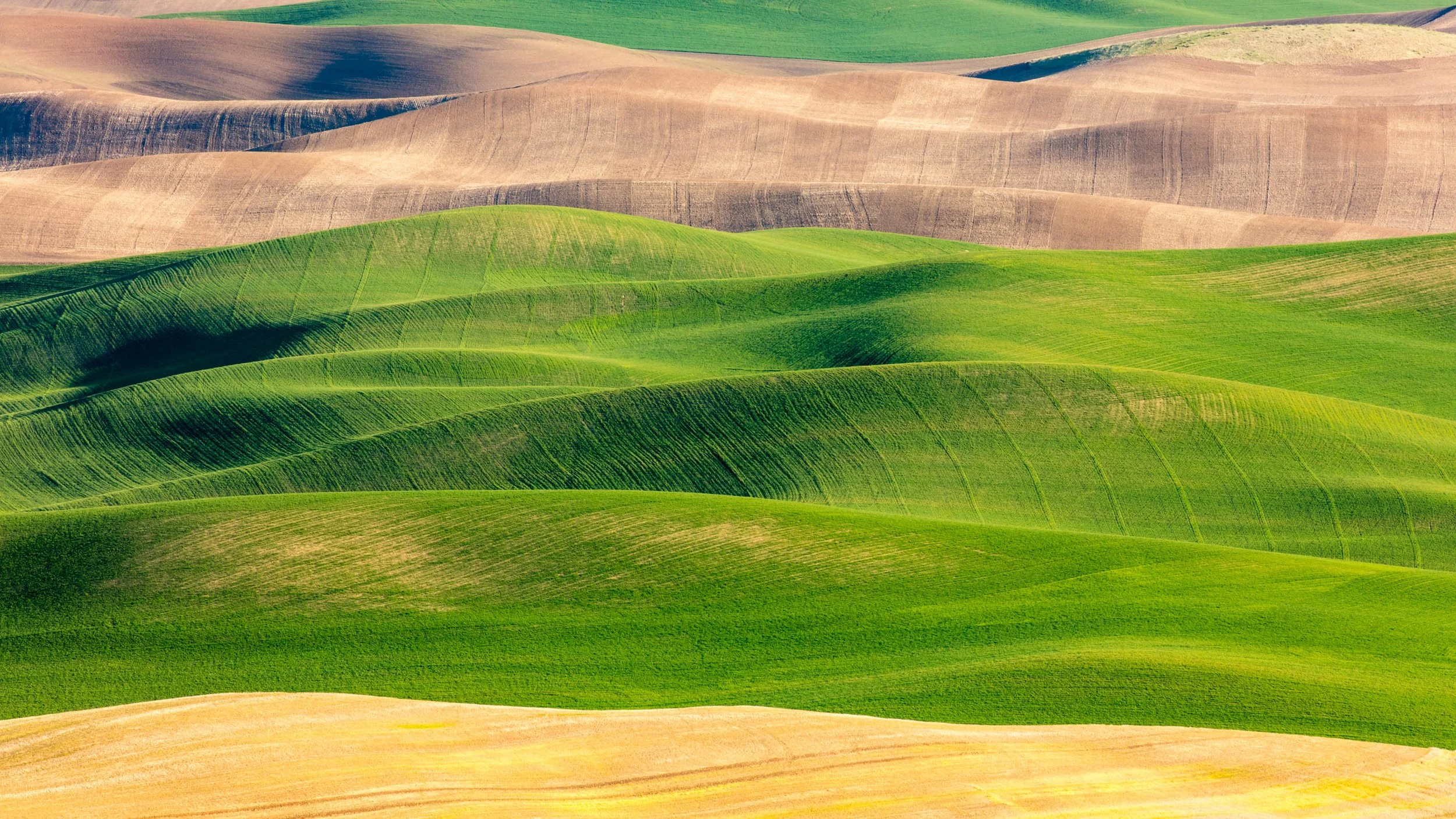 Rhythms of the Palouse — Mark Gardner, Photographic Art