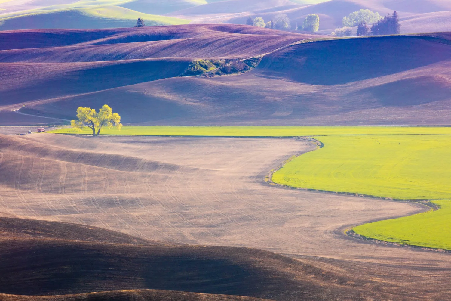Rhythms of the Palouse — Mark Gardner, Photographic Art