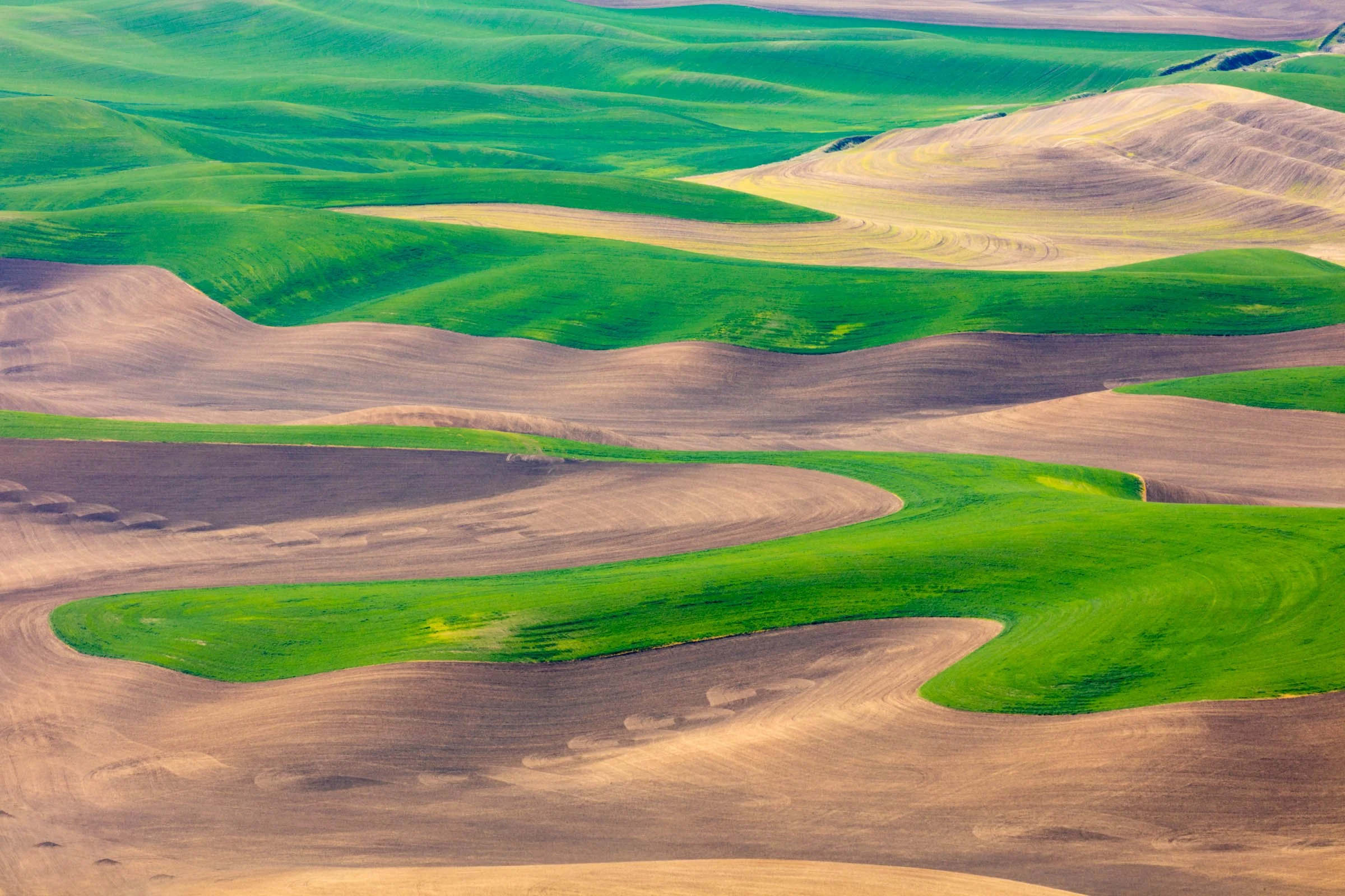 Rhythms of the Palouse — Mark Gardner, Photographic Art