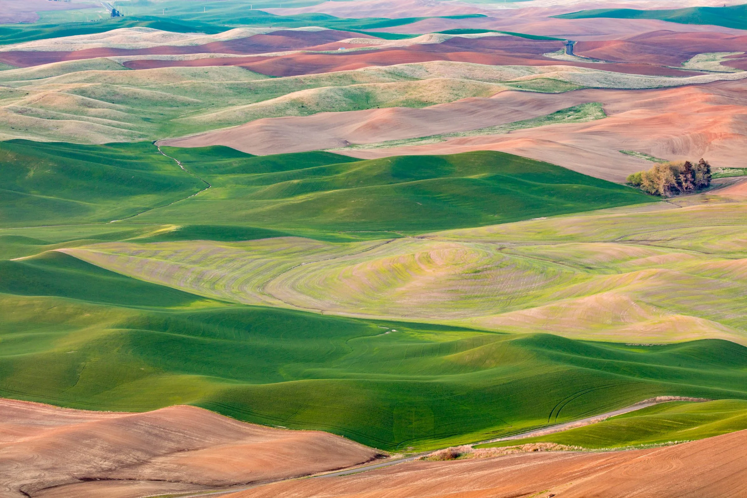 Rhythms of the Palouse — Mark Gardner, Photographic Art