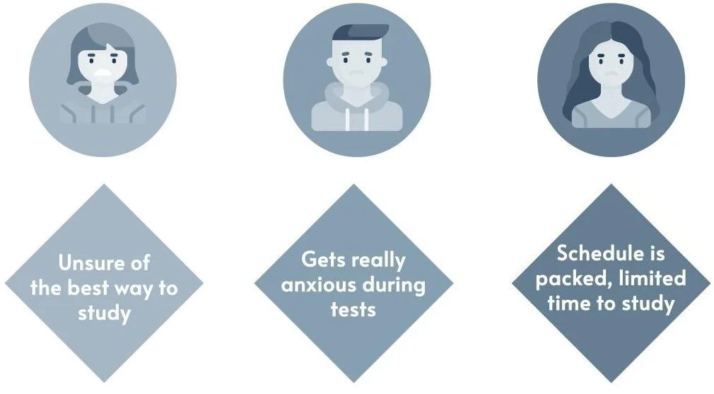 Pinpoint Surveys — Pinpoint Learning