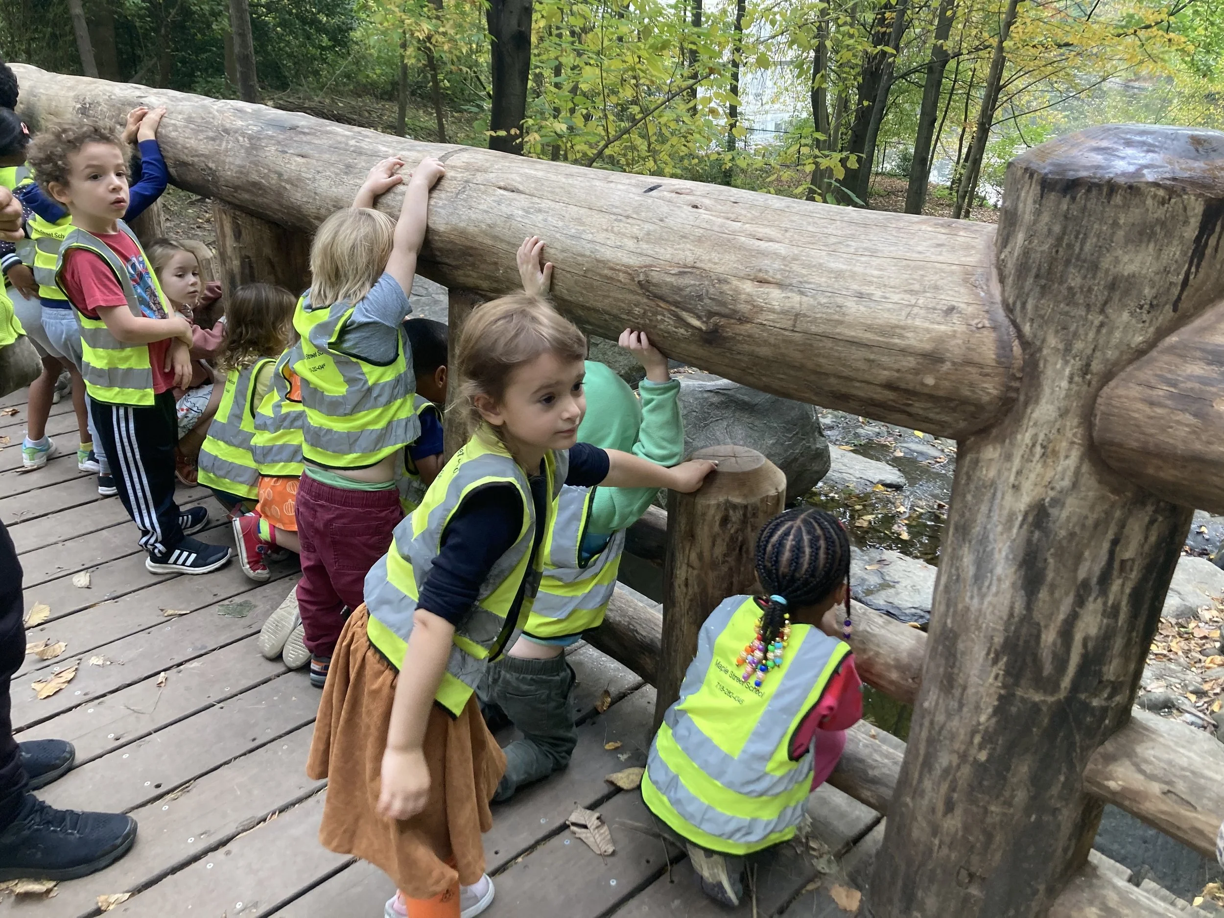 Maple Street School | A Look at Our Programs — Maple Street School ...