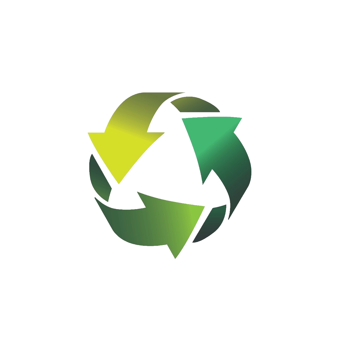 The Recy Group