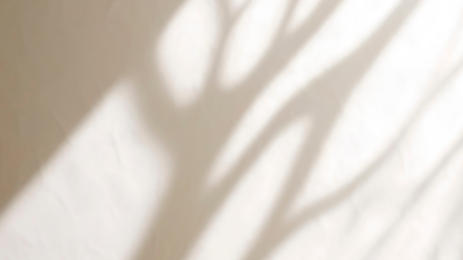 Connie Kobylko | Life Celebrant & Joy Guide