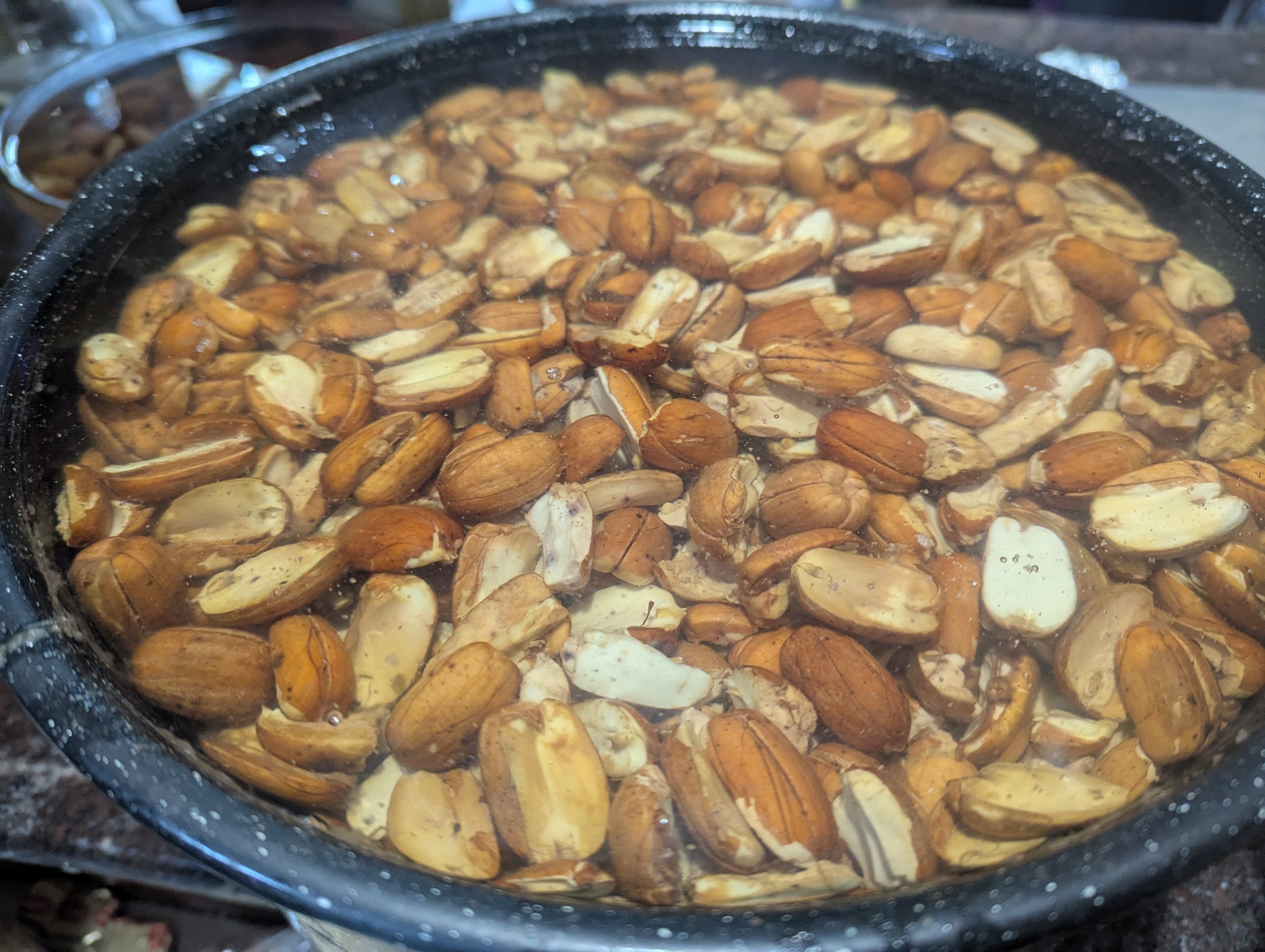 Leaching acorns to make them edible — EatAcorn.com