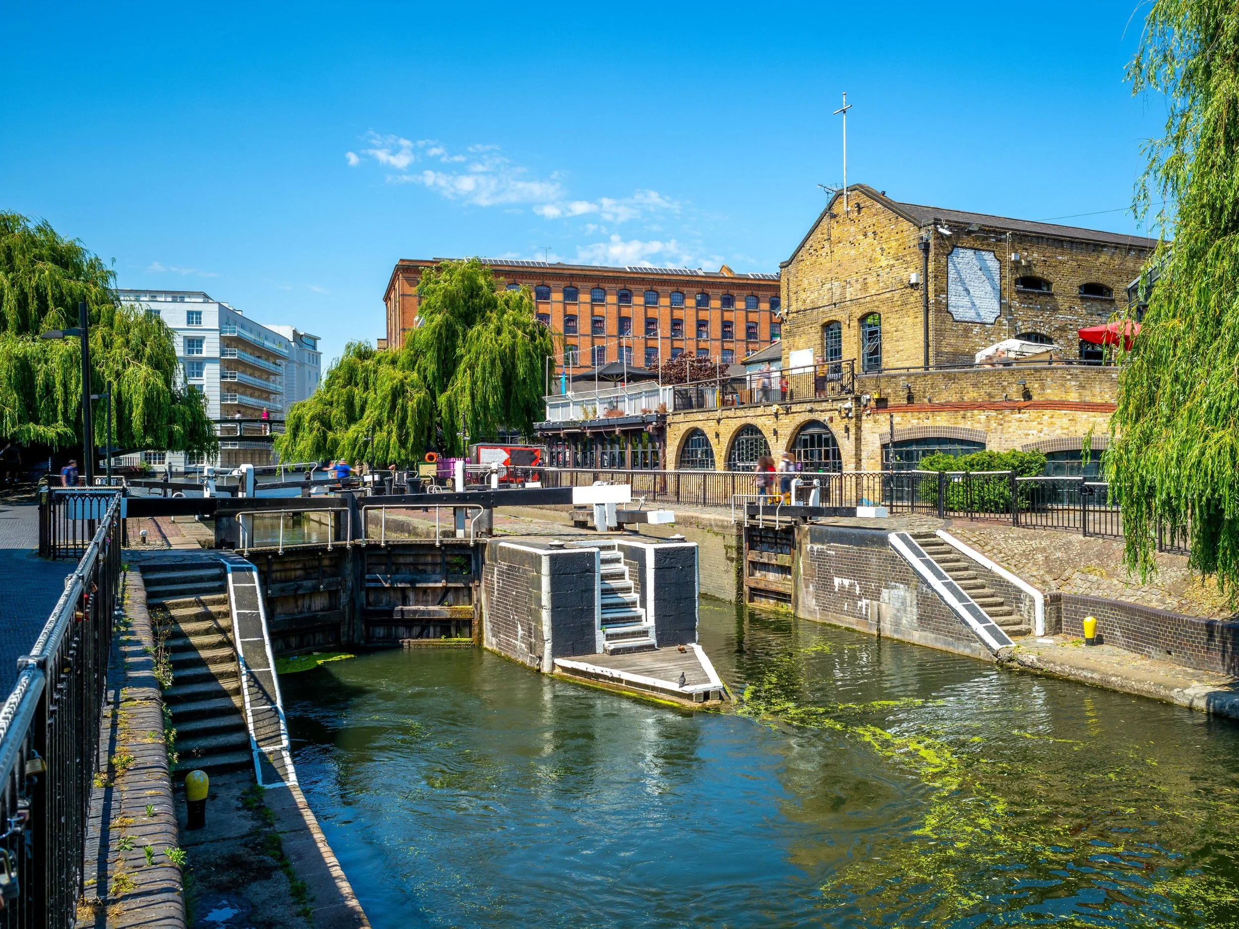 Chris Bibb - Camden — & Co Estate Agents