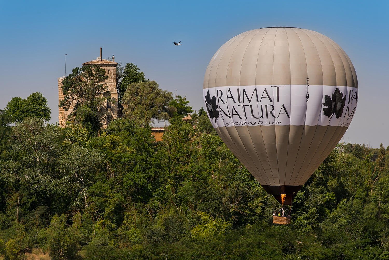 VISIT RAIMAT