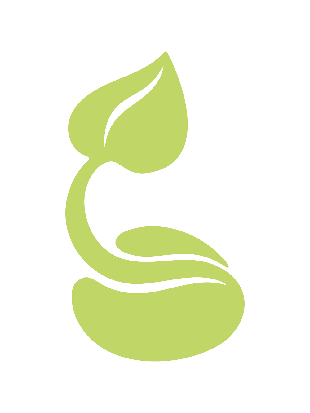 The Five Seeds of Effective Leadership — Leadership Works